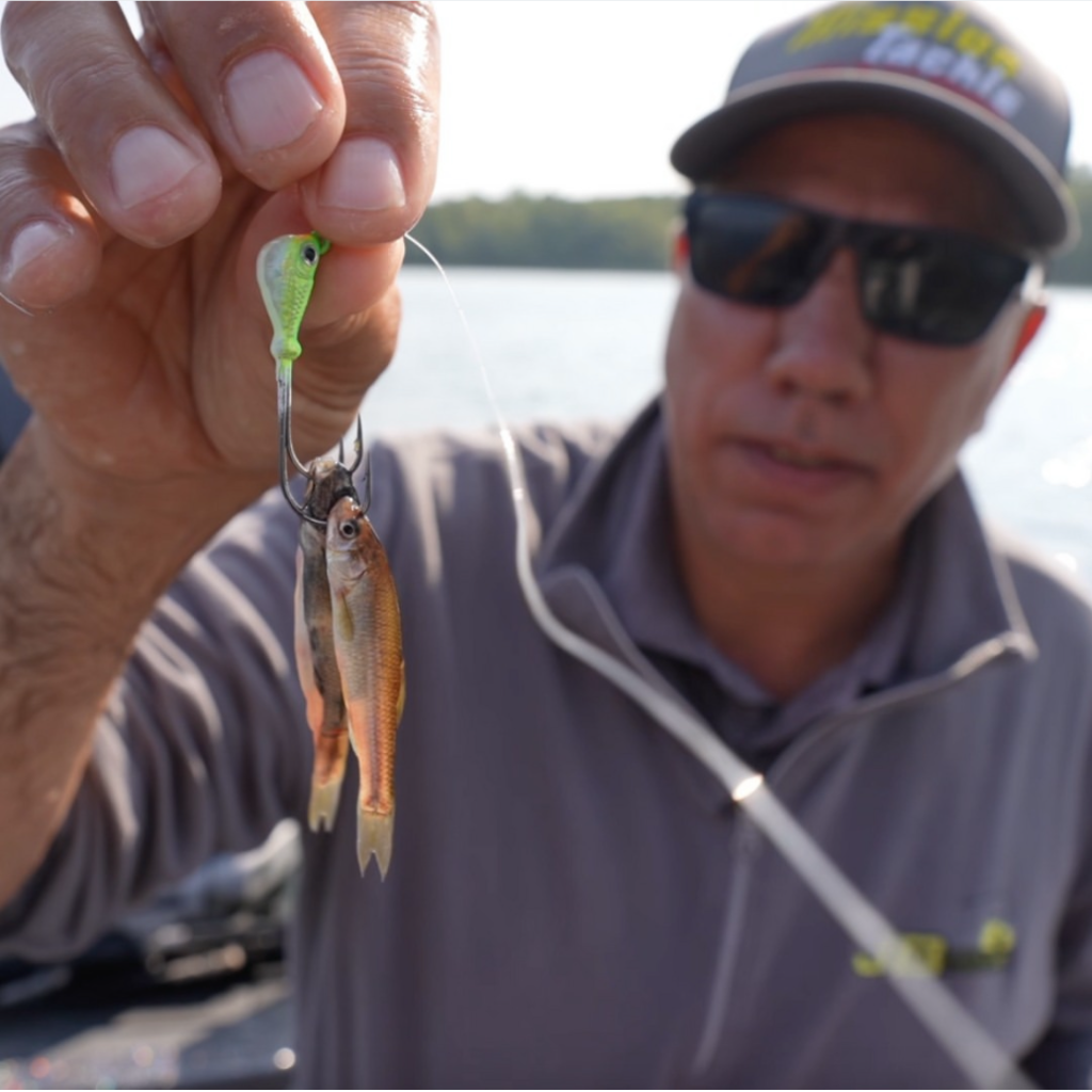 New Releases – JB Lures